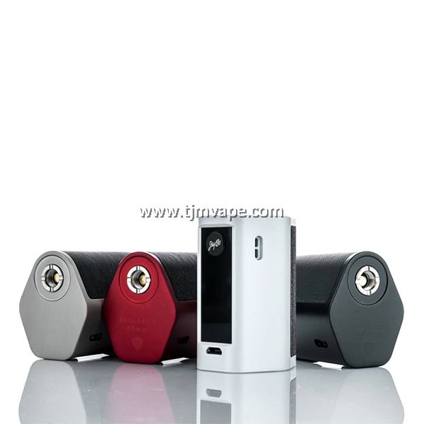 WISMEC REULEAUX RX MINI