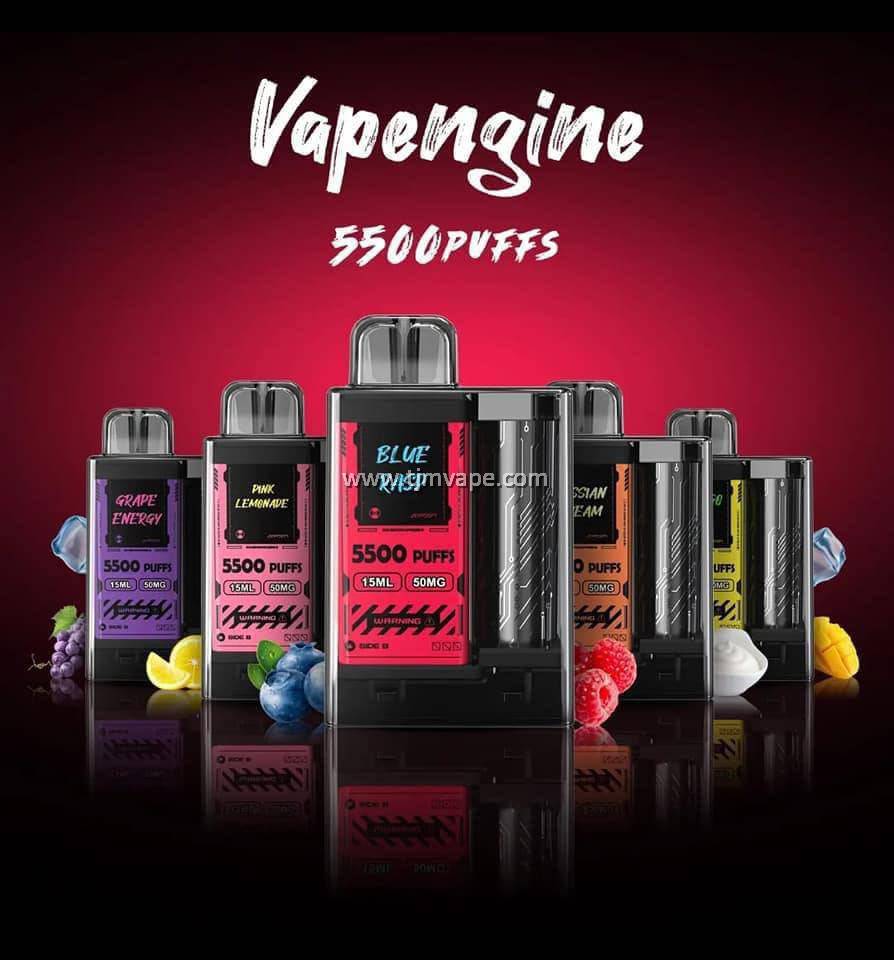 VAPENGIN 5500 PUFF DISPOSABLE POD