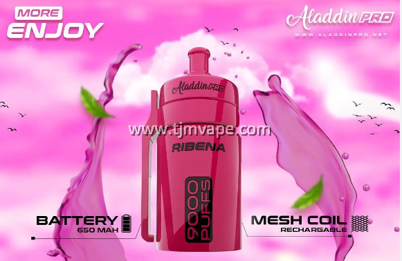 ALADDIN PRO MORE ENJOY 9000 PUFFS CARTRIDGE ONLY