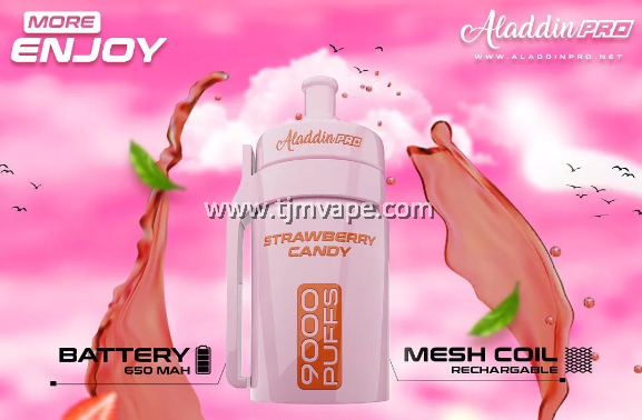 ALADDIN PRO MORE ENJOY 9000 PUFFS CARTRIDGE ONLY