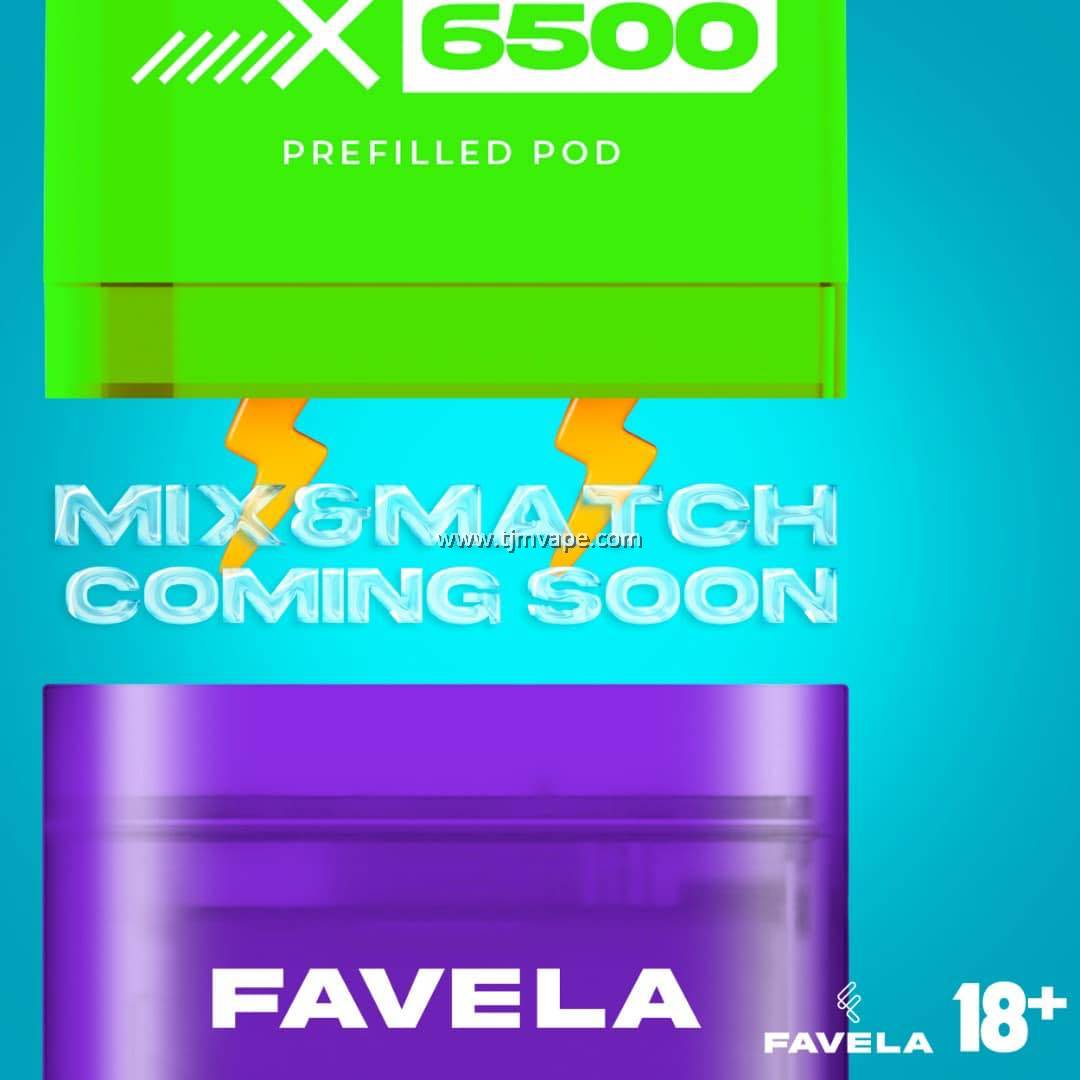 GOT IT FAVELA 6500 PUFFS KIT SET