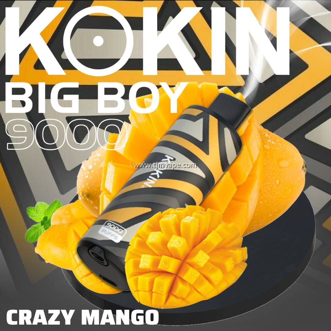 KOKIN BIGBOY 9000 PUFF DISPOSABLE POD