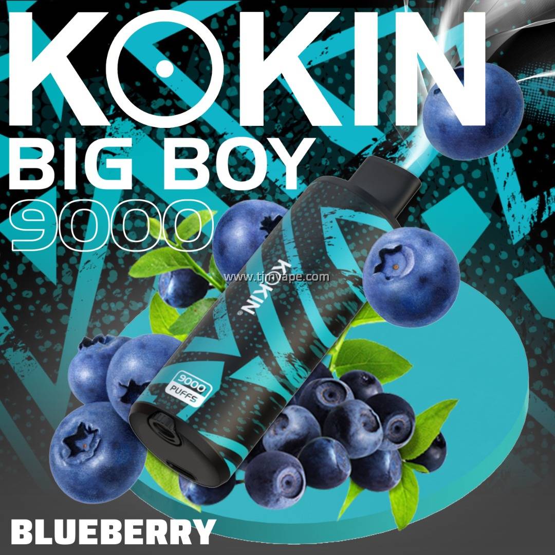 KOKIN BIGBOY 9000 PUFF DISPOSABLE POD