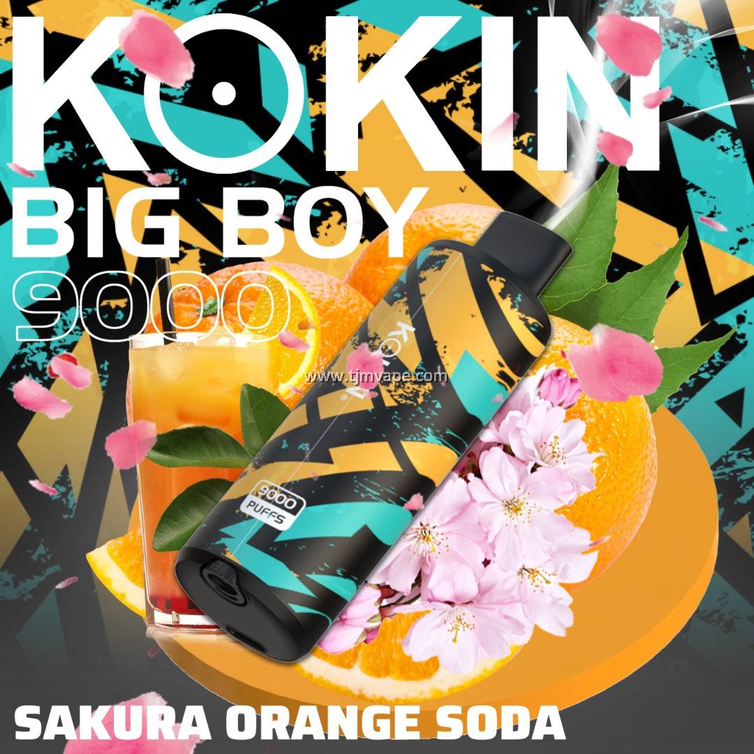 KOKIN BIGBOY 9000 PUFF DISPOSABLE POD