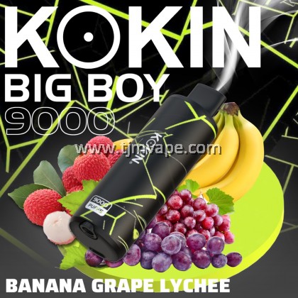 KOKIN BIGBOY 9000 PUFF DISPOSABLE POD