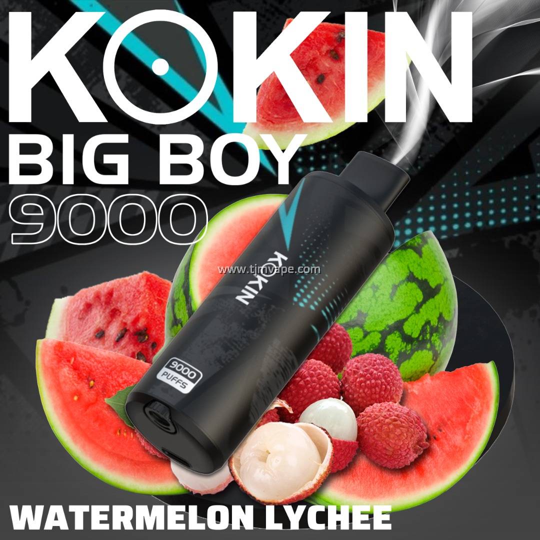KOKIN BIGBOY 9000 PUFF DISPOSABLE POD
