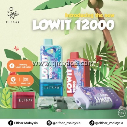 LOWIT 12000 PREFILLED POD KIT