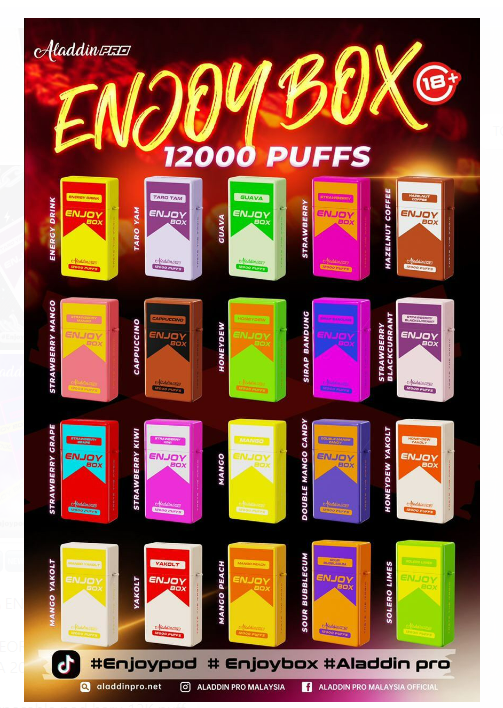 ALADDIN PRO ENJOY BOX 12000 PUFF